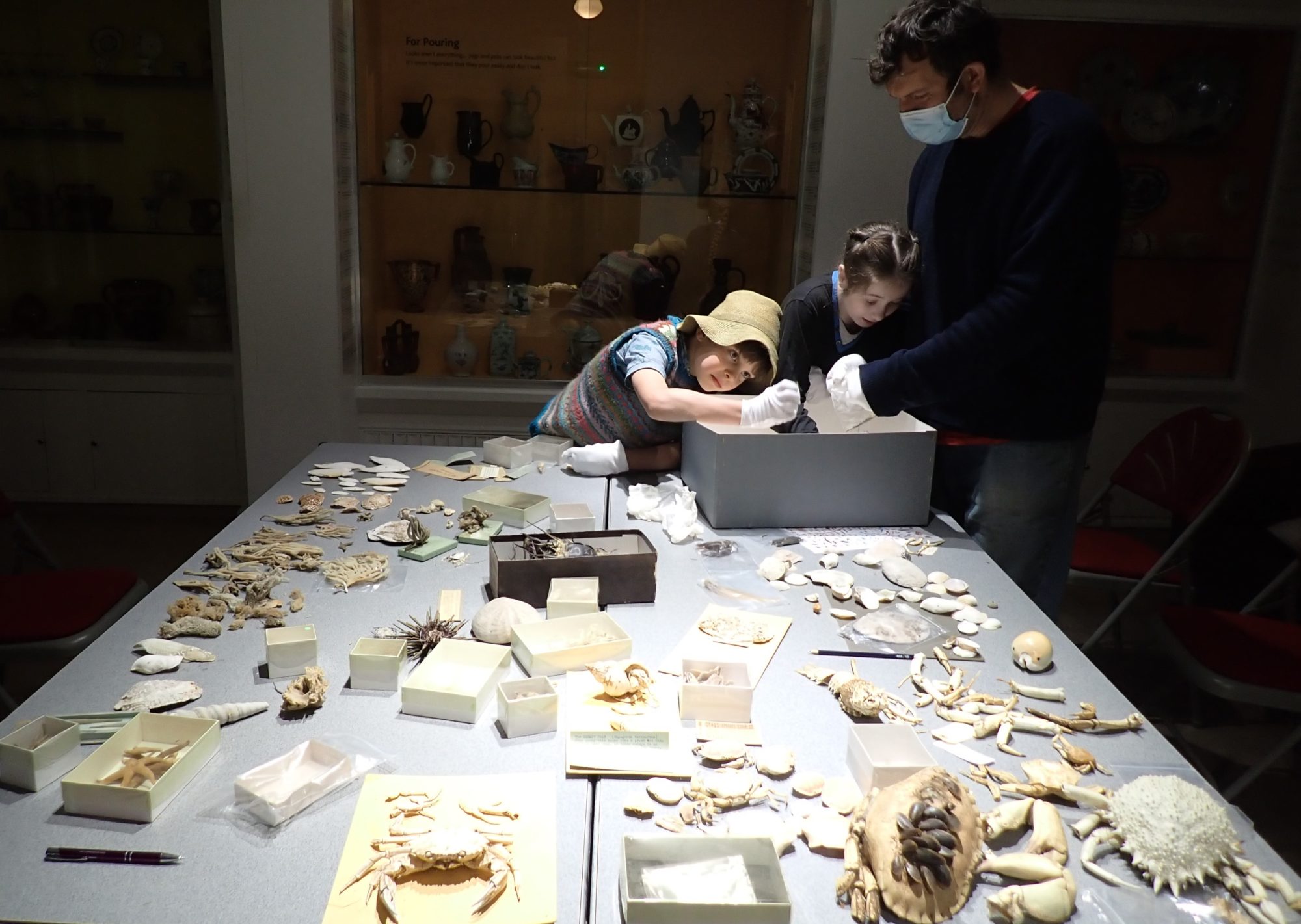 Projects – Hastings Museum and Art Gallery