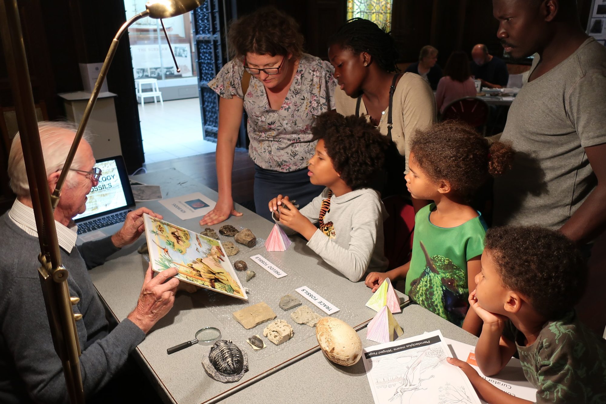 Learn – Hastings Museum and Art Gallery