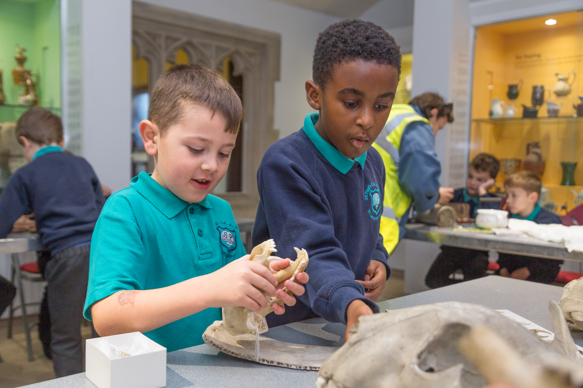 Key Stage 1 – Hastings Museum and Art Gallery
