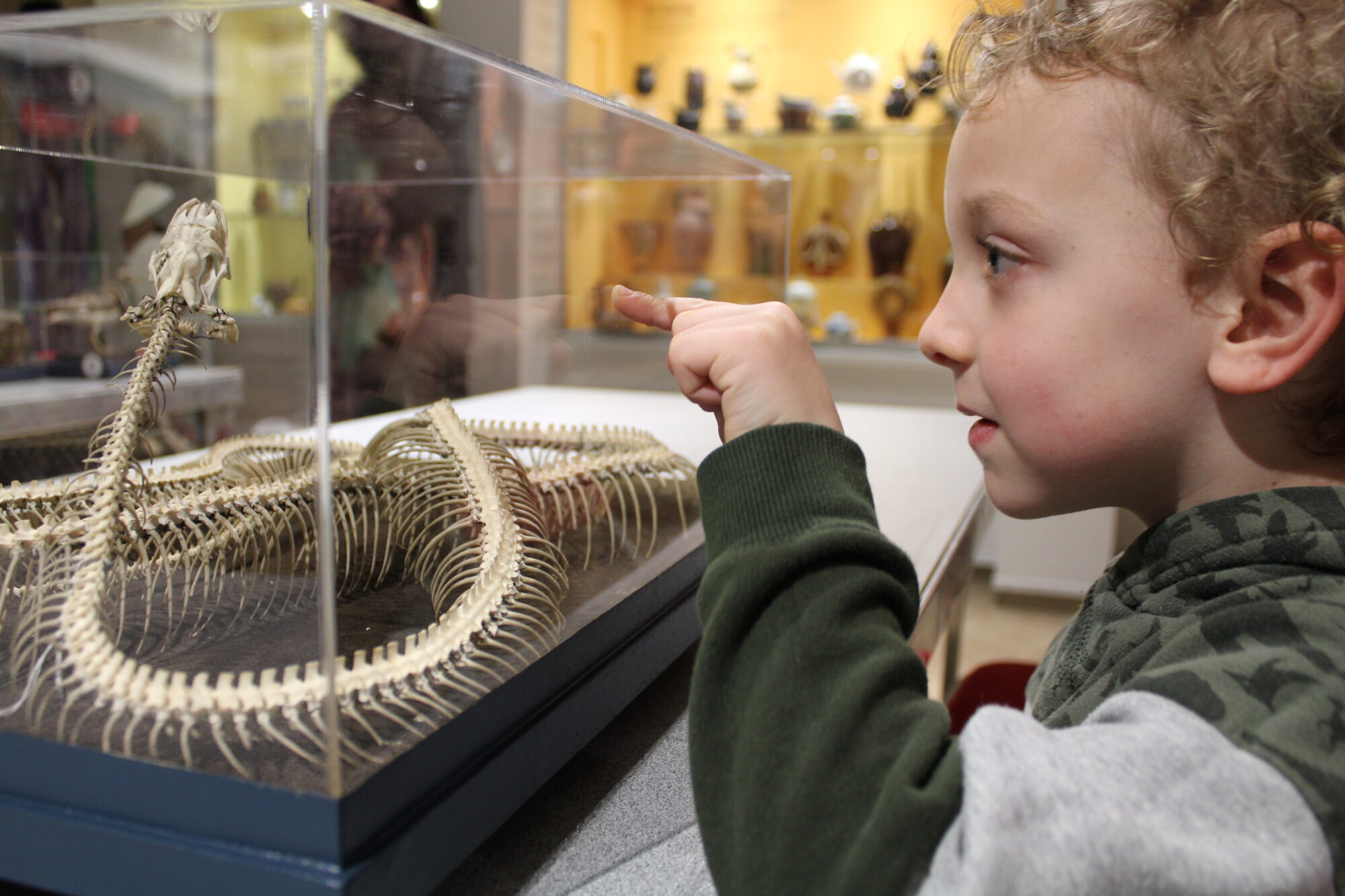 Early Years – Hastings Museum and Art Gallery