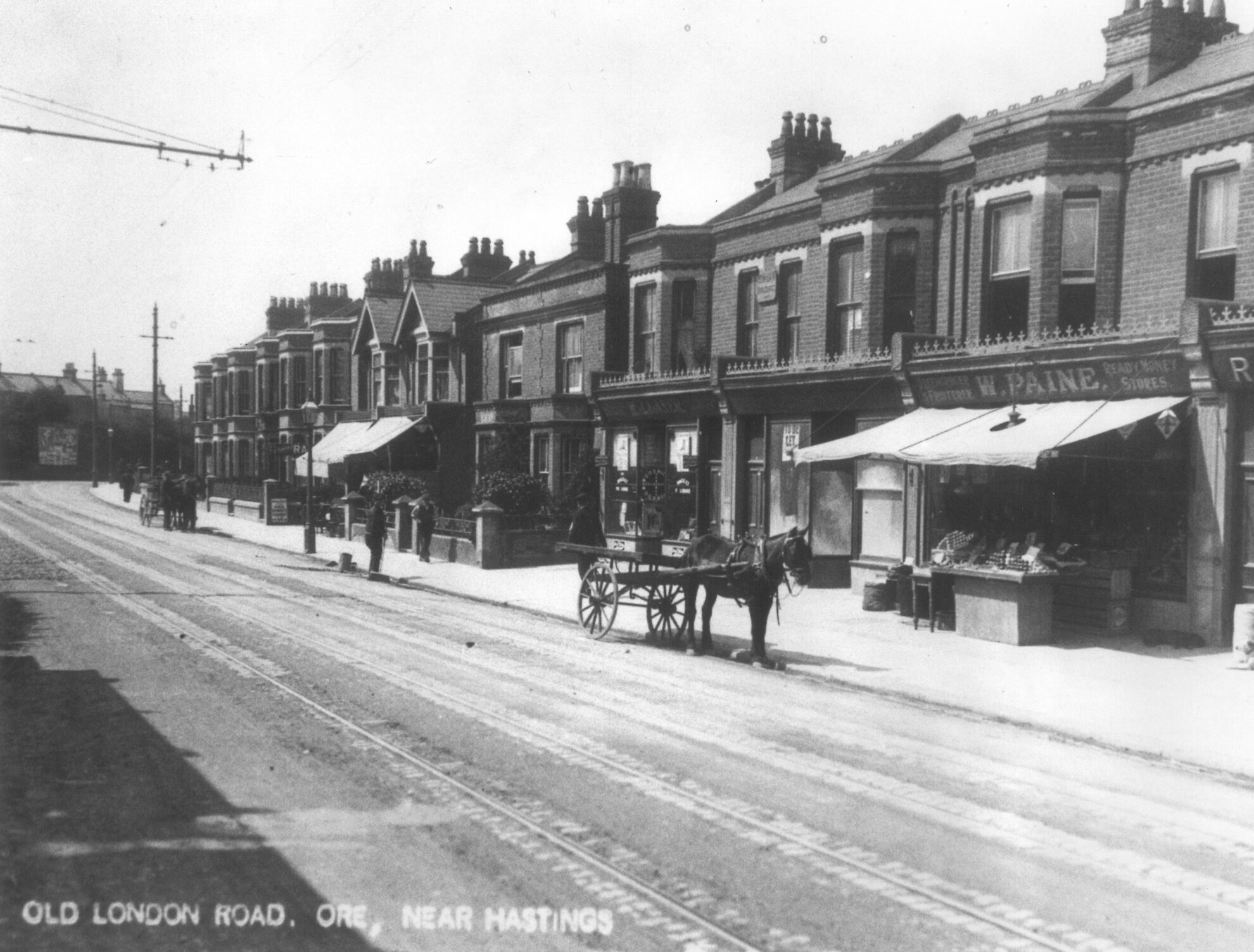 Museum Collections and Outreach Traineeships – Hastings Museum and Art ...